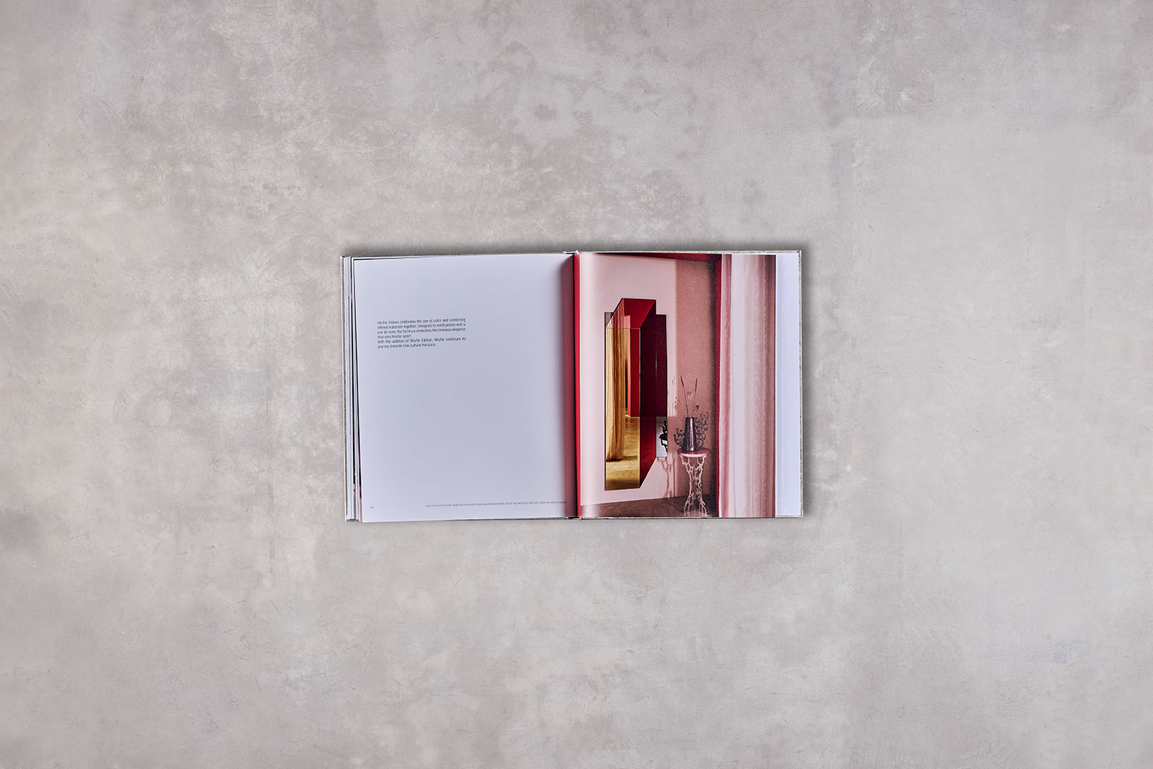 NILUFAR DEPOT: The First Decade - Nilufar